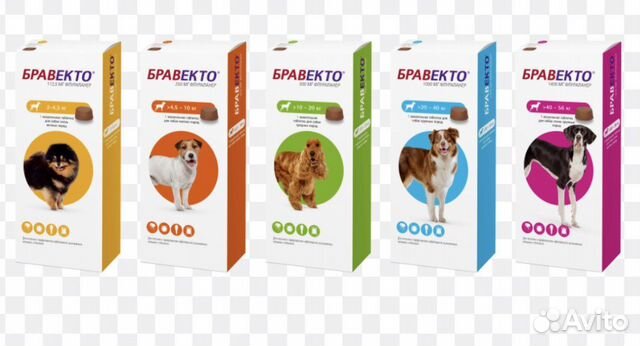 Обработка бравекто для собак в Омске | Услуги | Авито