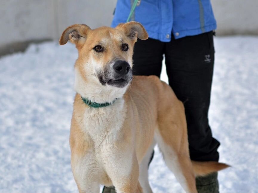 Гриша с непростой судьбой