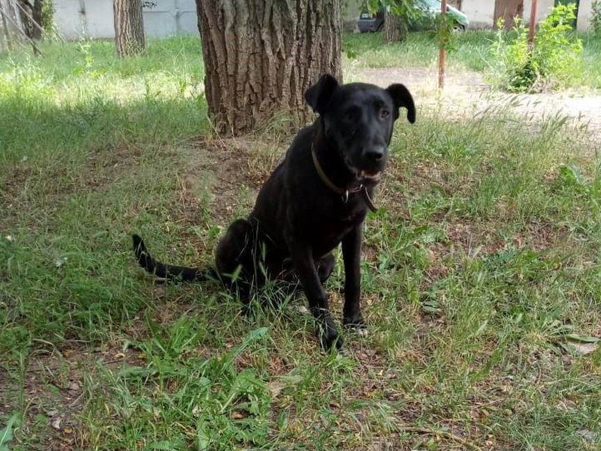 Герда в поисках дома