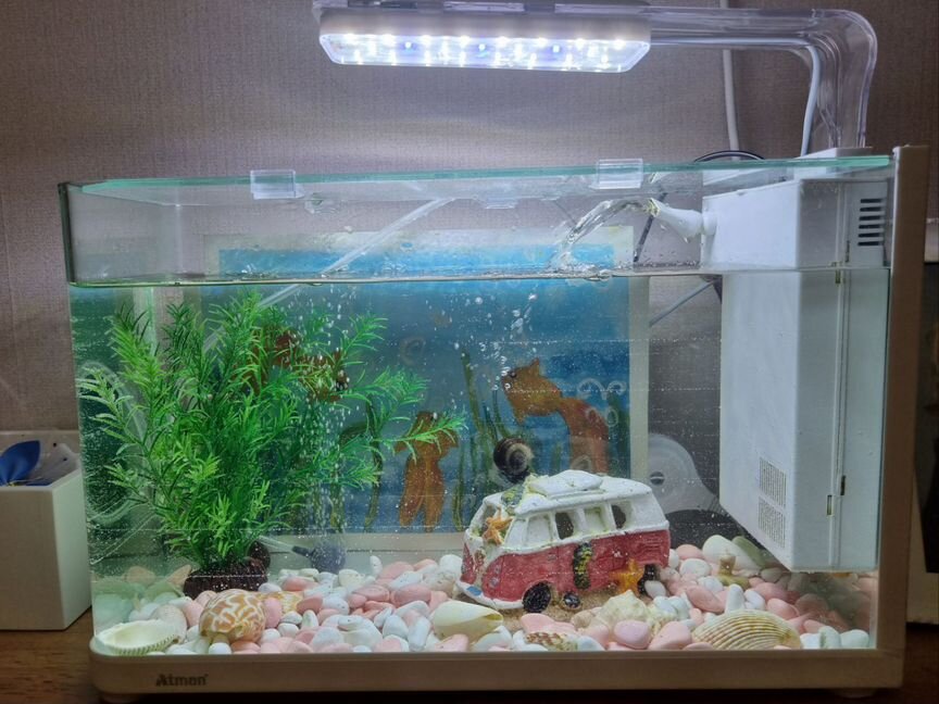 Аквариум Atman 18л + рыбка