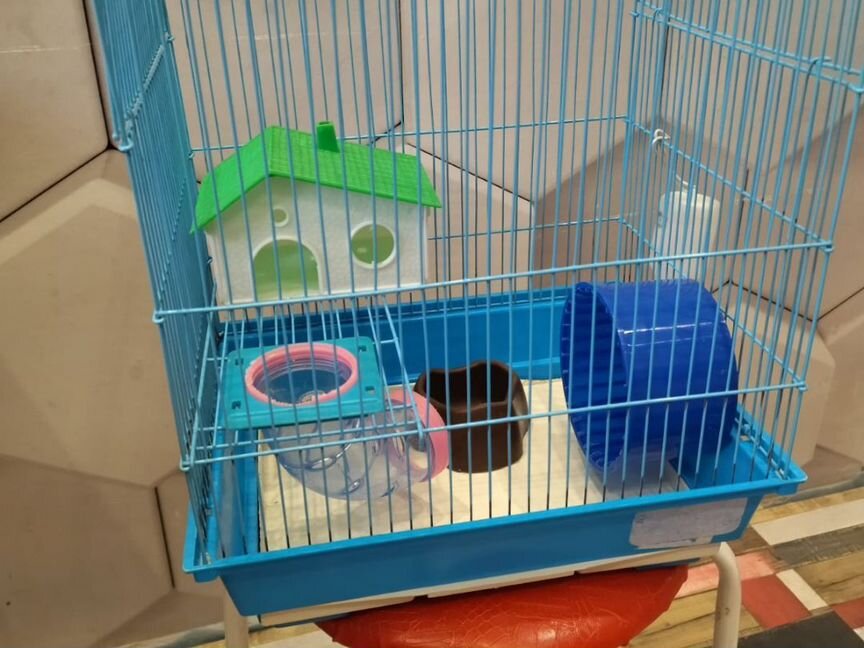 Клетка+корм премиум 1кг