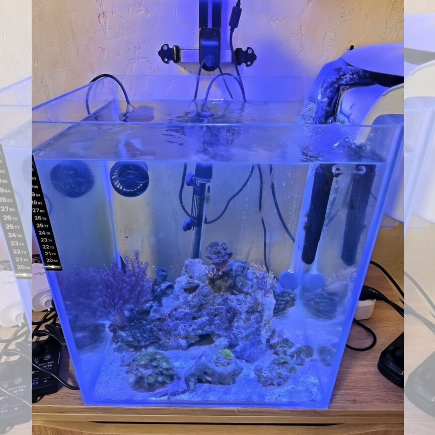 Морской аквариум