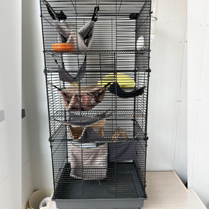 Клетка для крыс большая