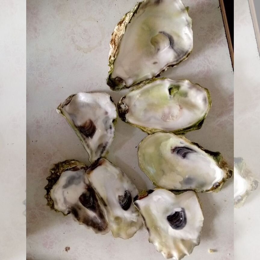 Для оквариума