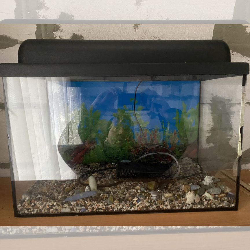 Аквариум на 50 литров