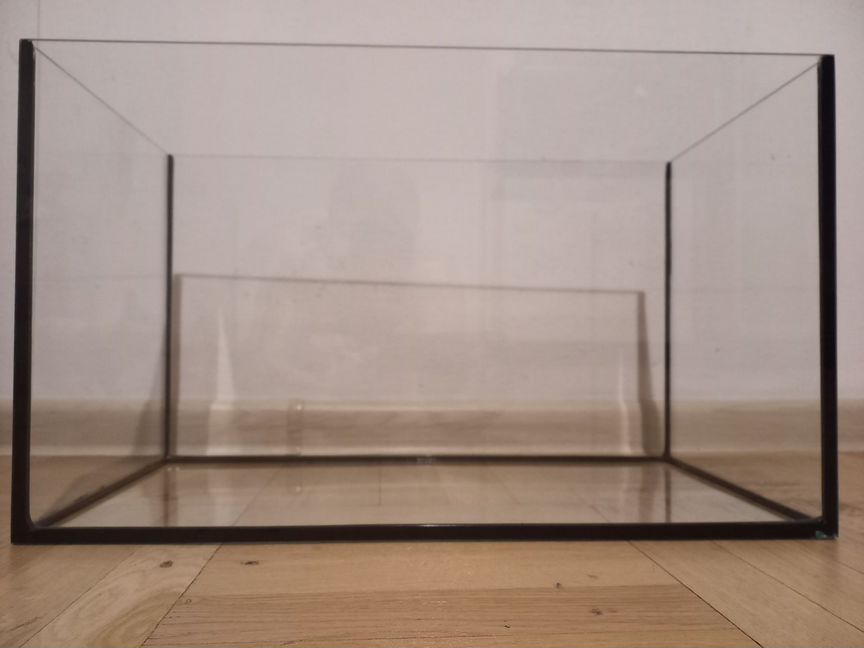 Аквариум. Грунт для аквариума