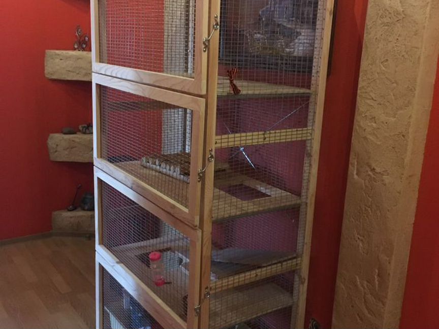Клетка для шиншилы хомяка крысы свинки кролика