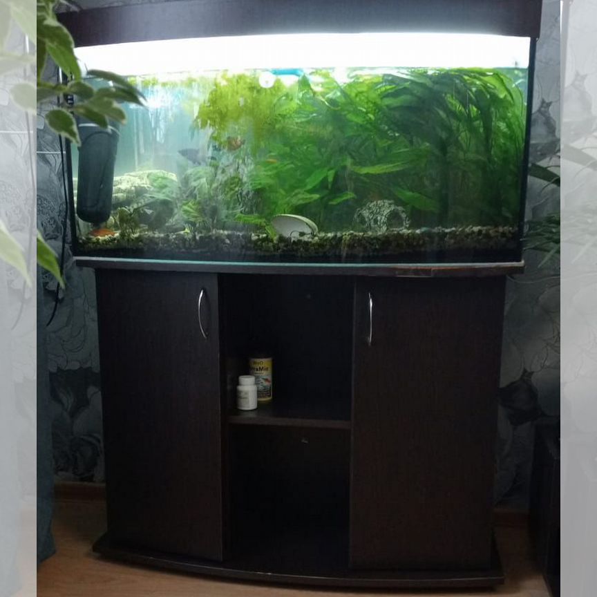Аквариум с тумбой и рыбками