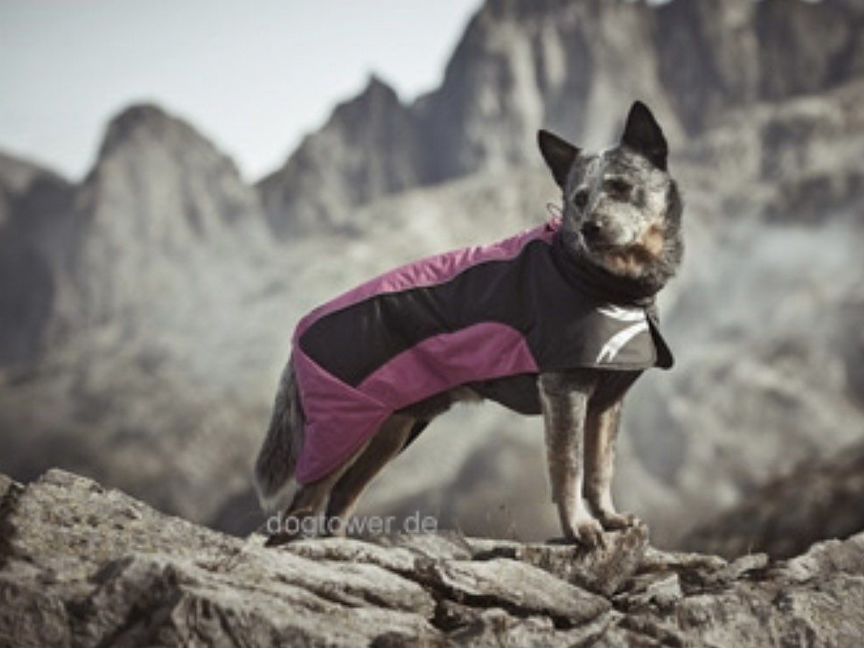 Попона теплая Hurtta OutdoorsUltimate Warmer