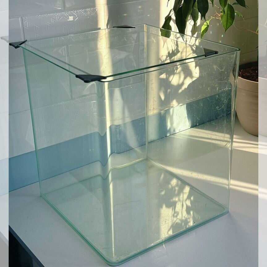 Аквариум палюдариум