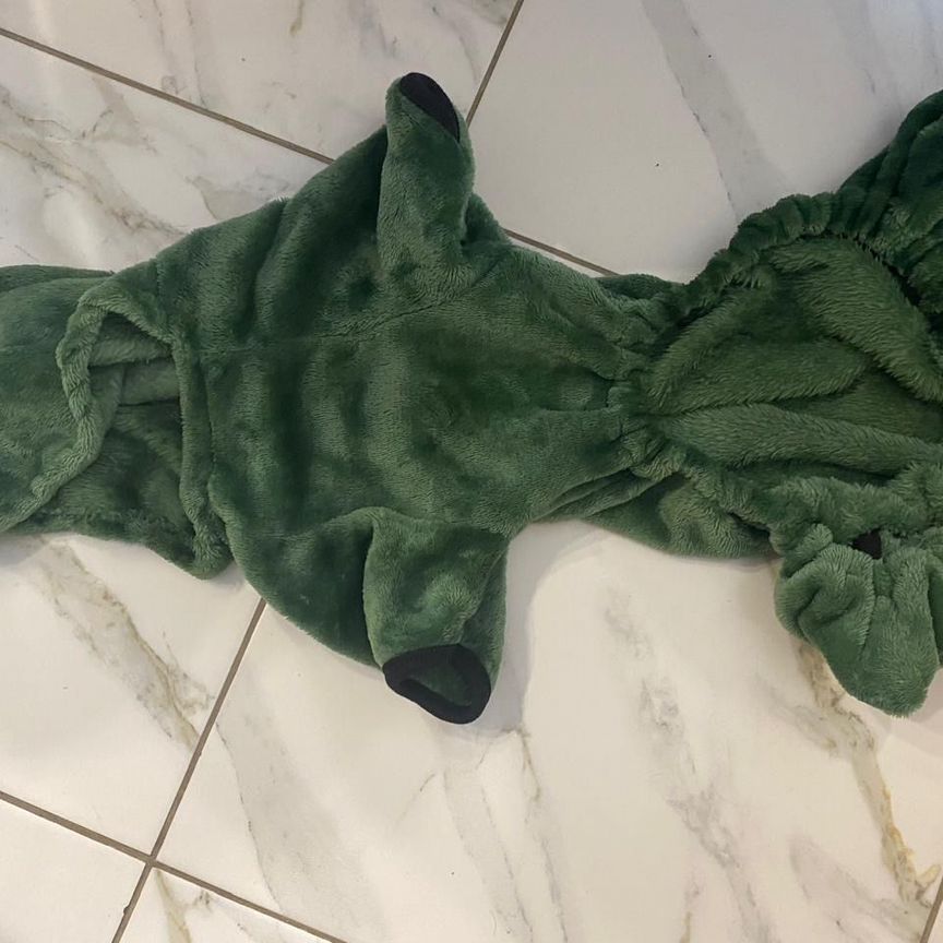 Костюм для собаки