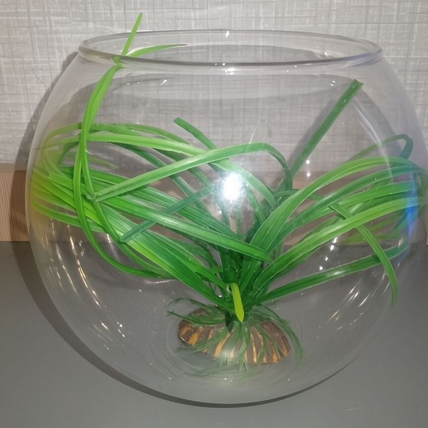 Аквариум на 3 литра