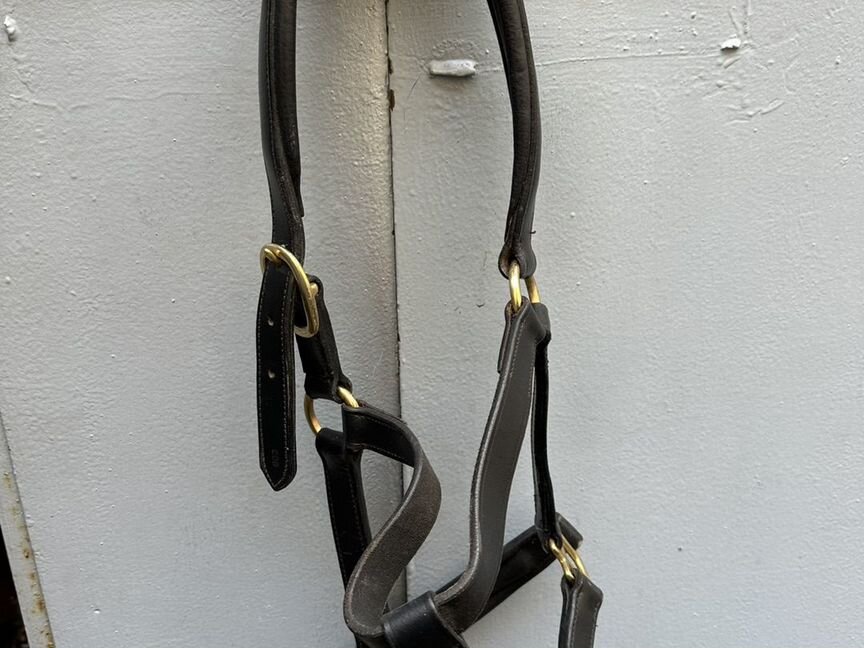 Недоуздок кожаный для лошади