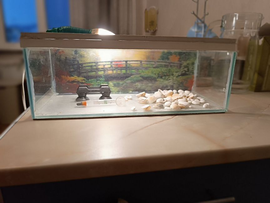 Террариум стеклянный