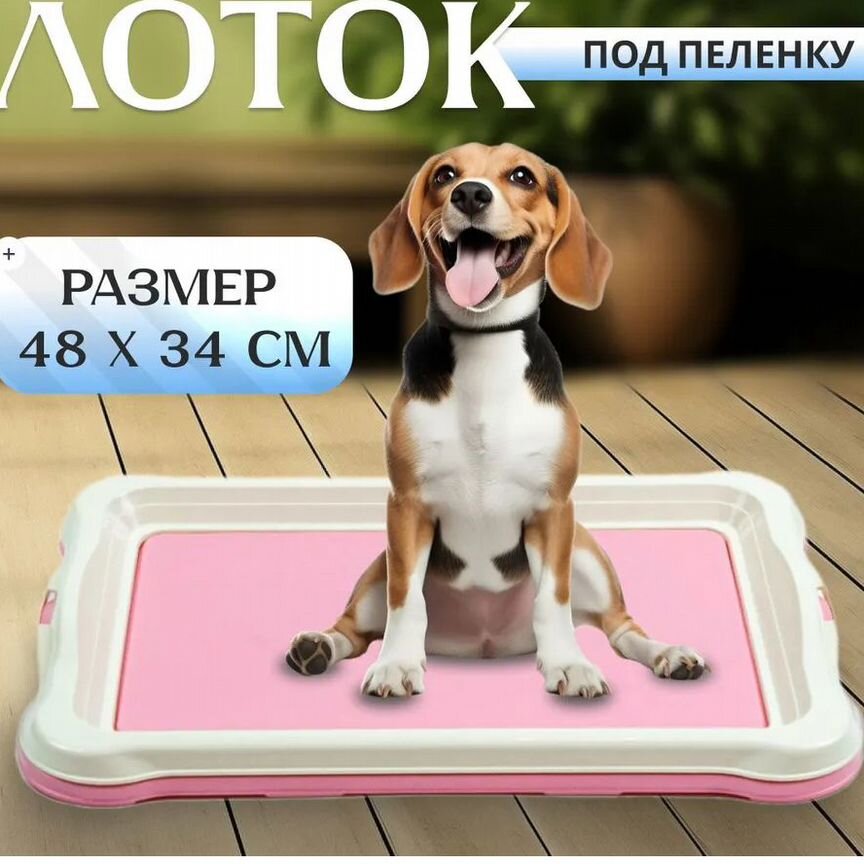 Лоток под пеленку для собак