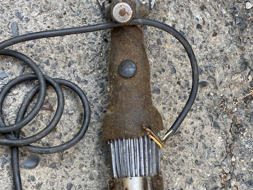 Машина для стрижки овец