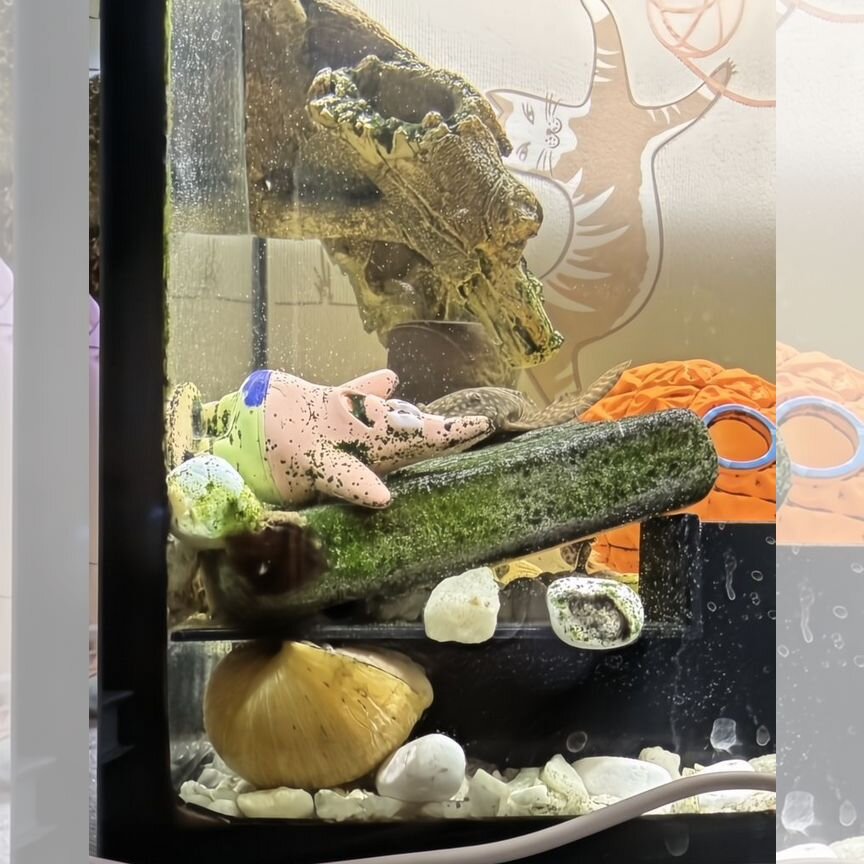 Аквапанорама 011 Аквариум прямоугольный 100л