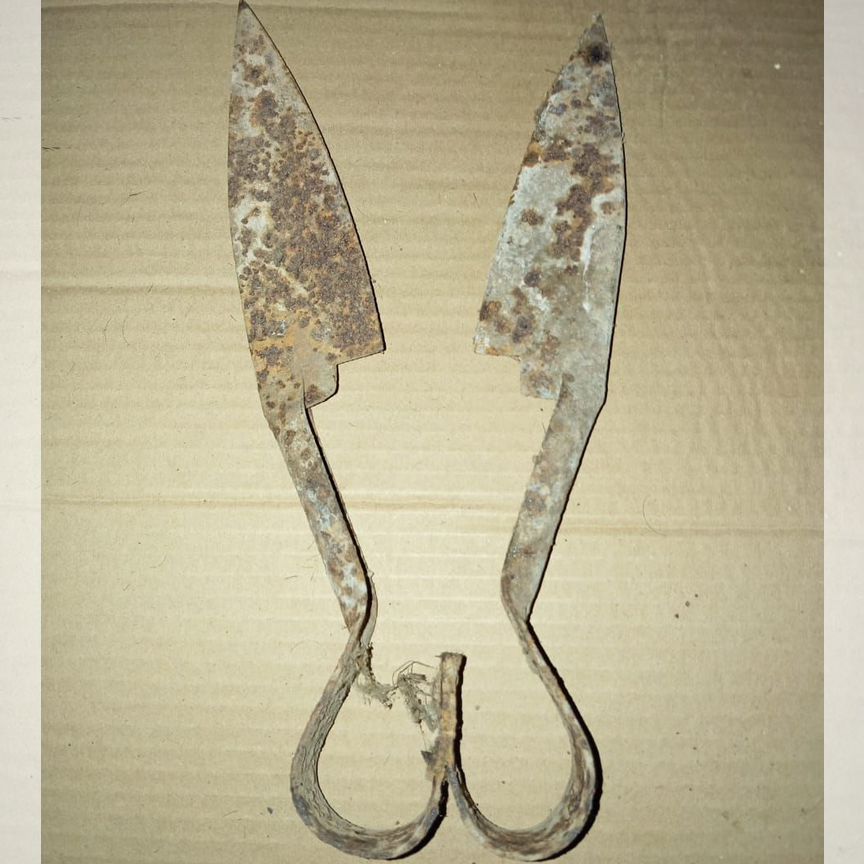 Ножницы для стрижки овец