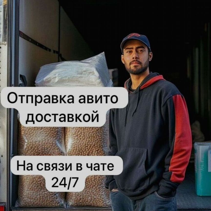Корм для собак