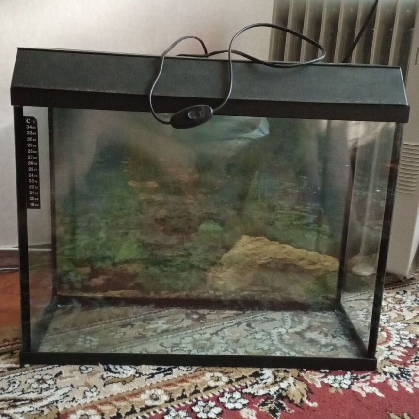 Аквариум