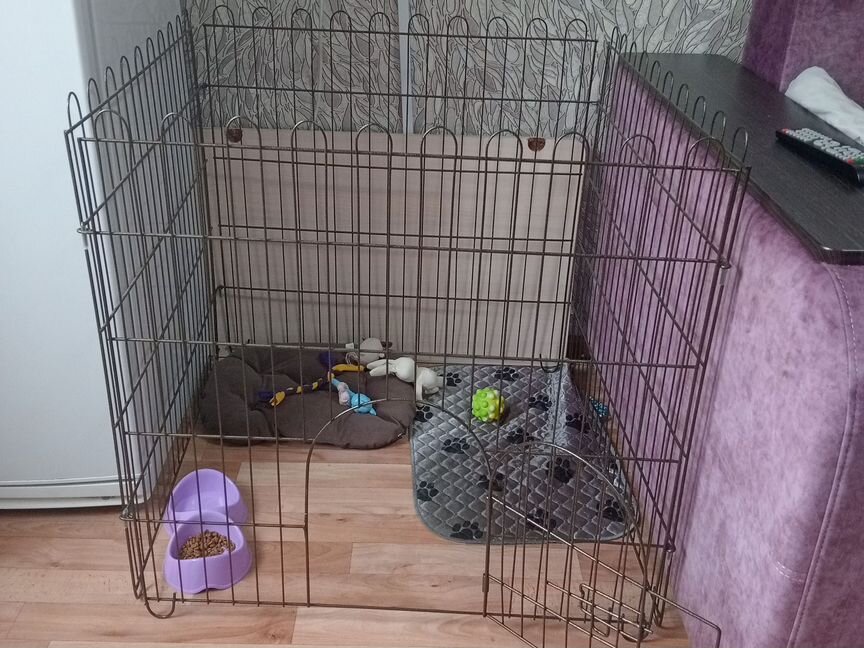 Вольер для собак в квартиру