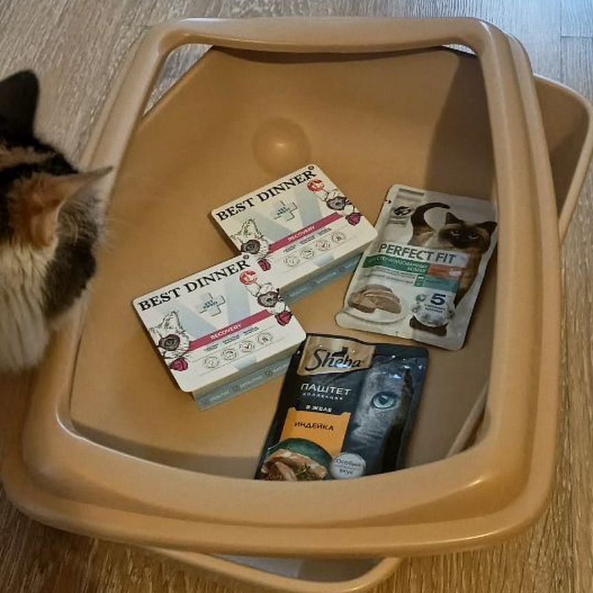 Лоток для кошек с бортами