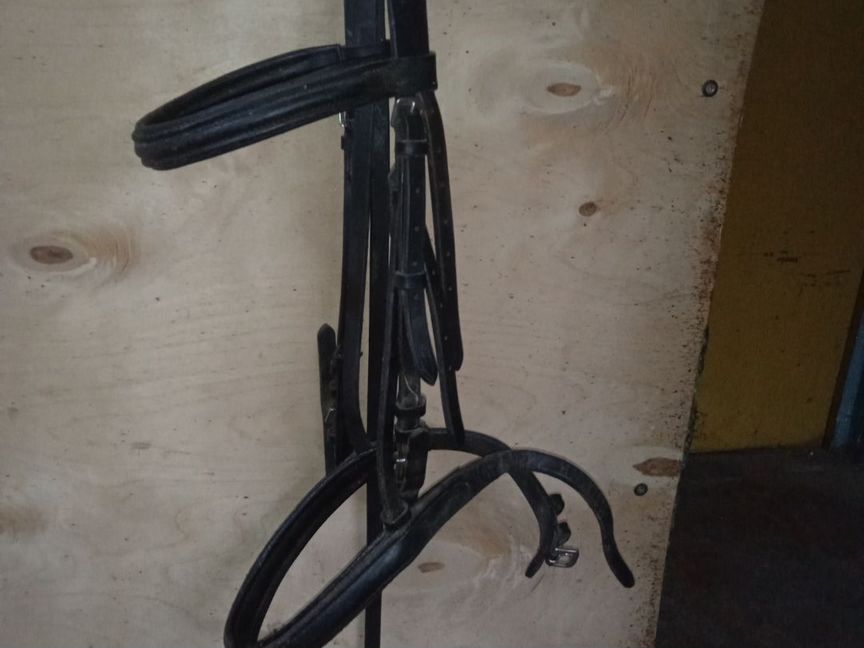 Конная амуниция бу