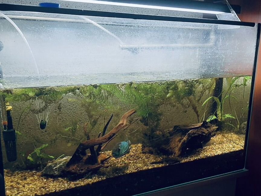 Аквариум с тумбой
