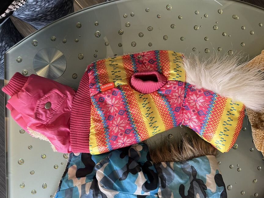 Одежда для маленьких собак