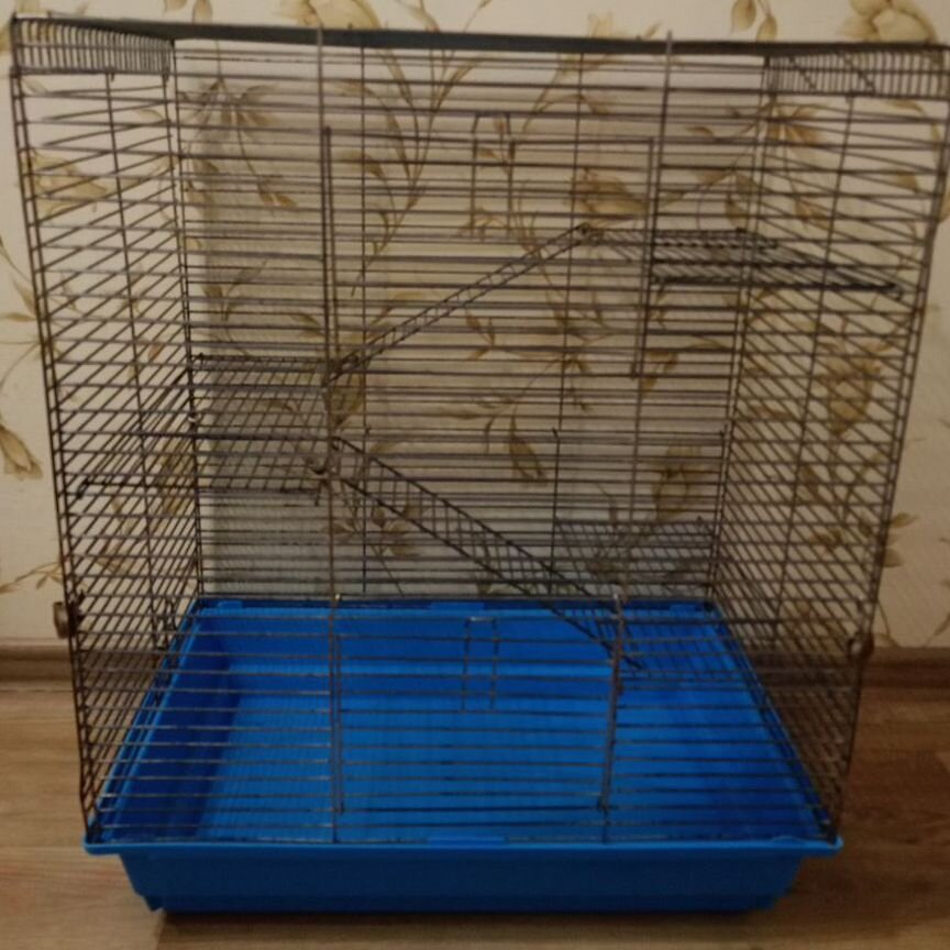 Всё для грызунов