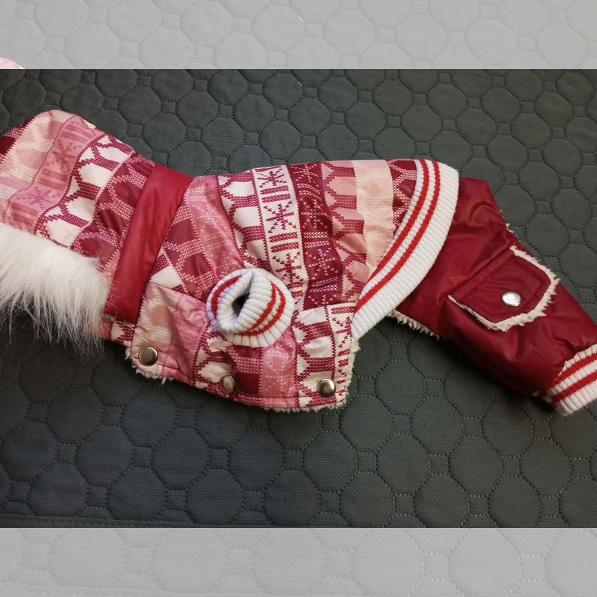 Зимний комбинезон для маленькой собачки