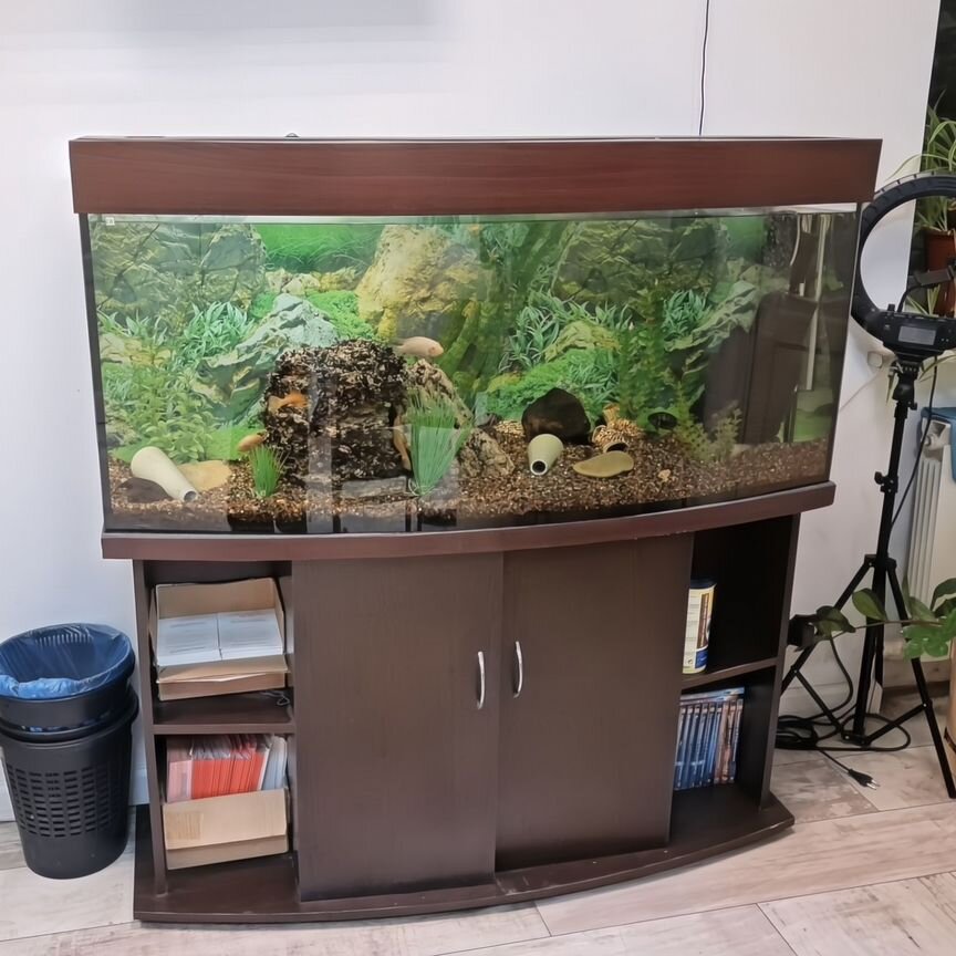 Аквариум со всем содержимым