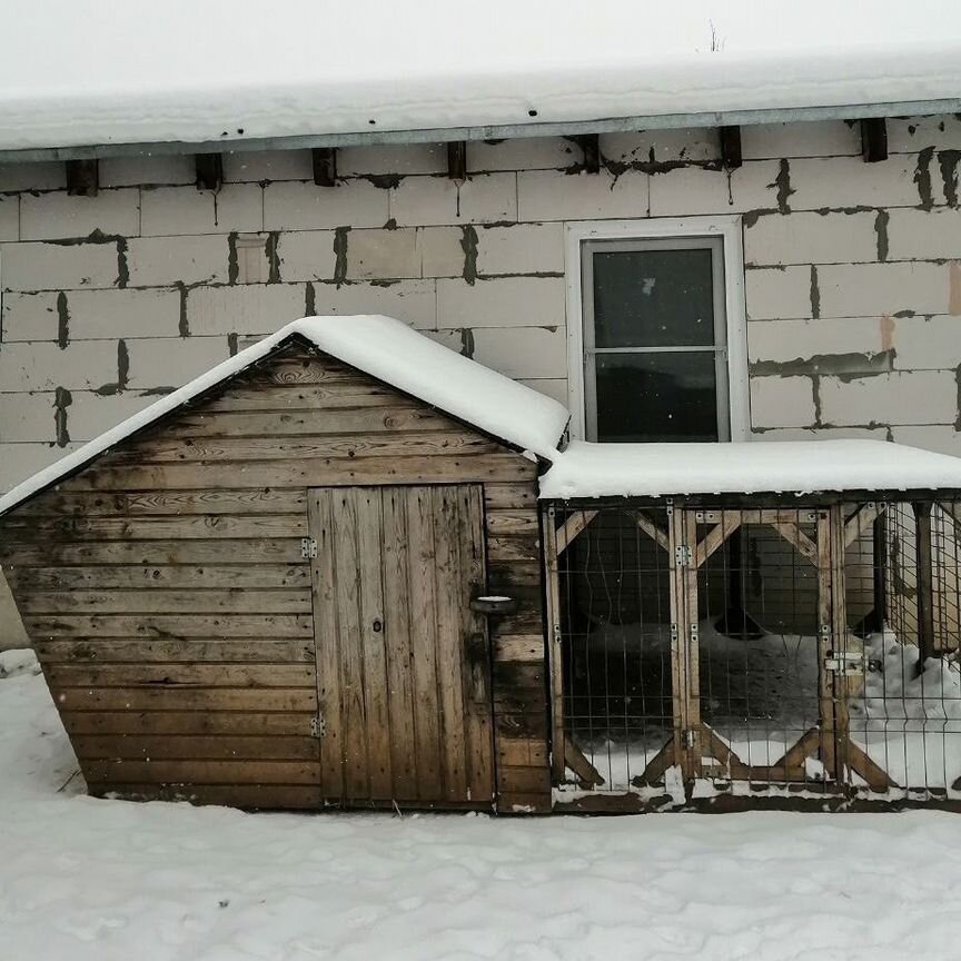 Курятник бу