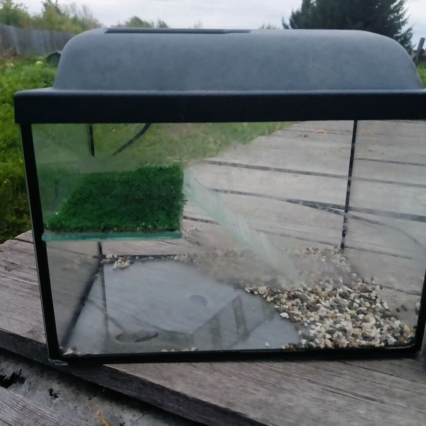Аквариум для красноухой черепахи