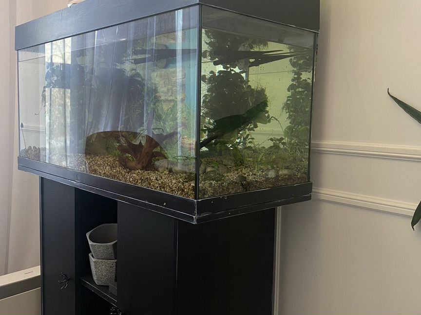 Аквариум Juwel rio 180 с тумбой и фильтром