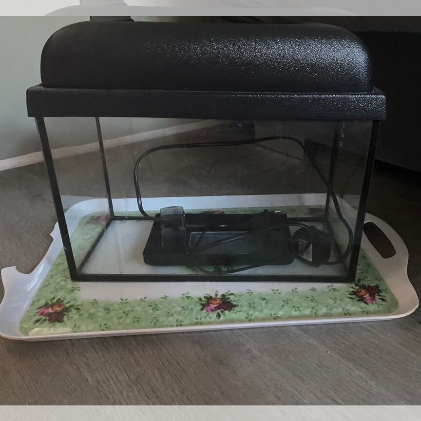 Аквариум для рыбок