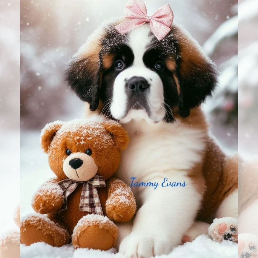 Сенбернарчики