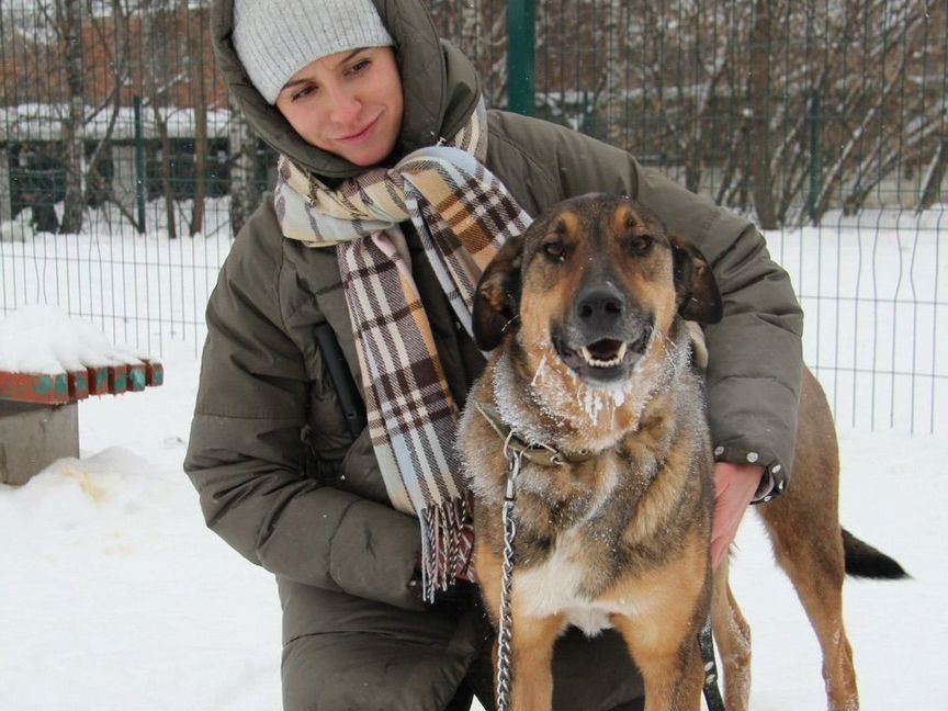 Песик Август-молодой, активный песик ищет дом