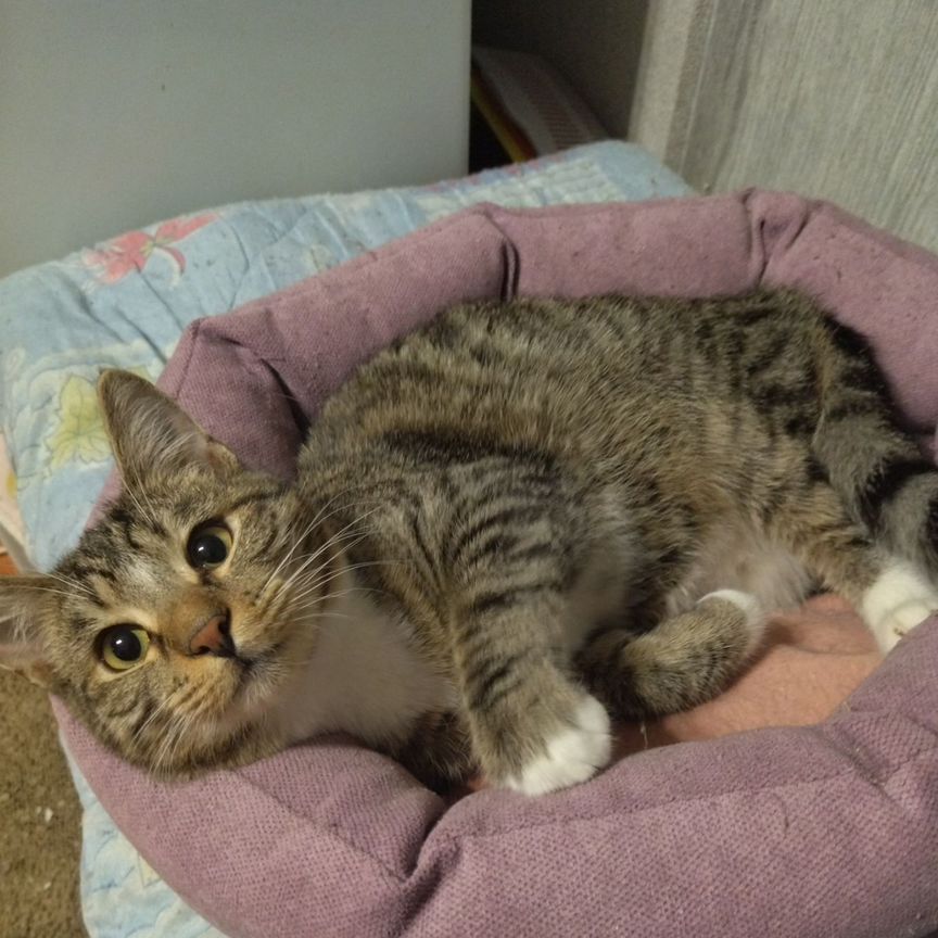 Очень Ласковый мальчишка в ответственные руки