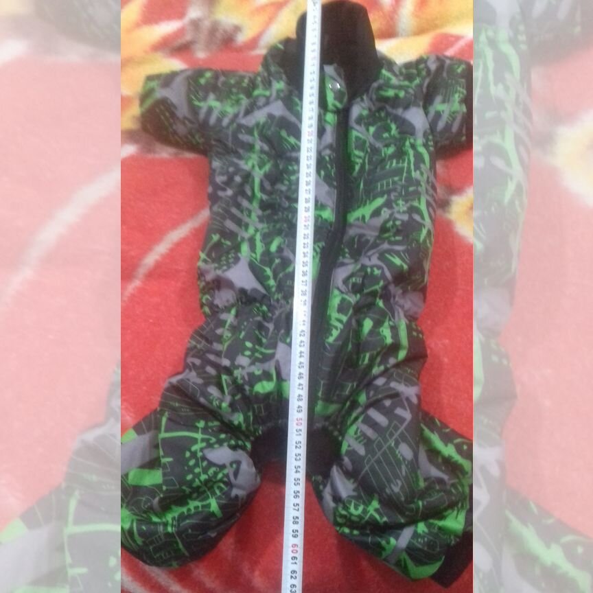 Комбинезон на мопса