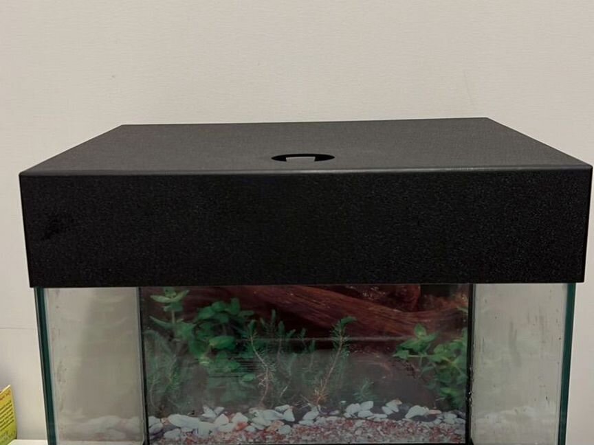 Аквариум (жили улитки)