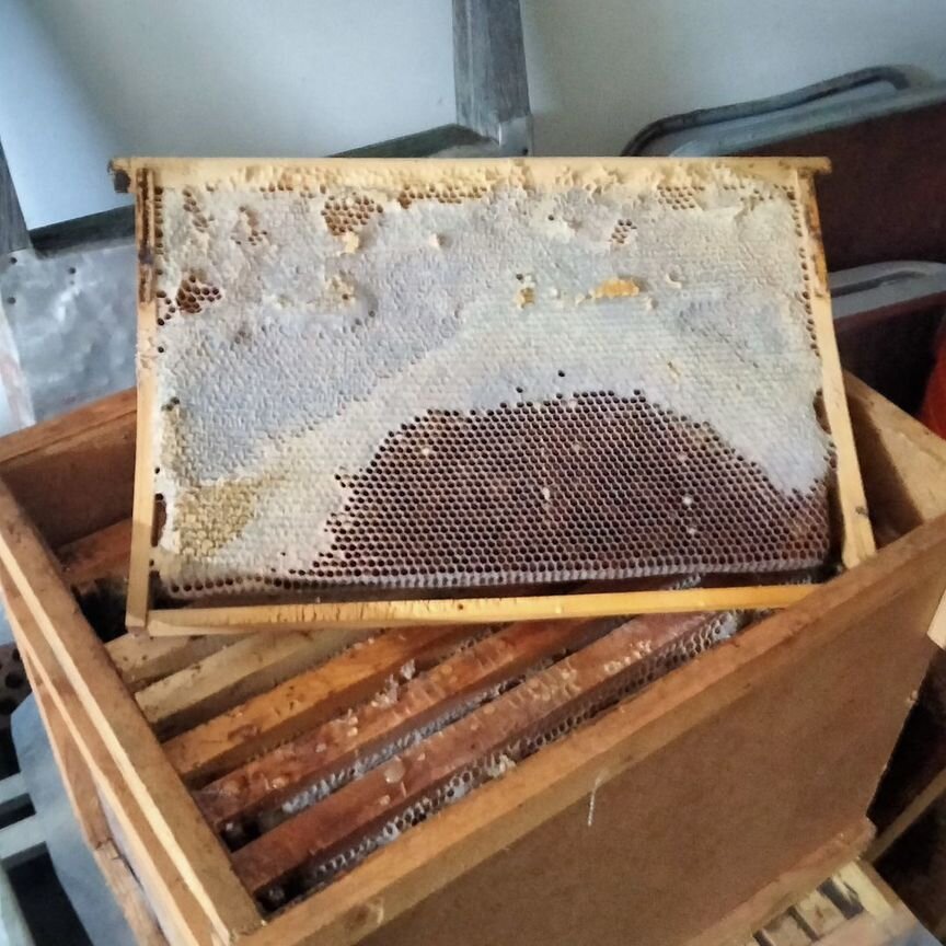 Медоперговые рамки