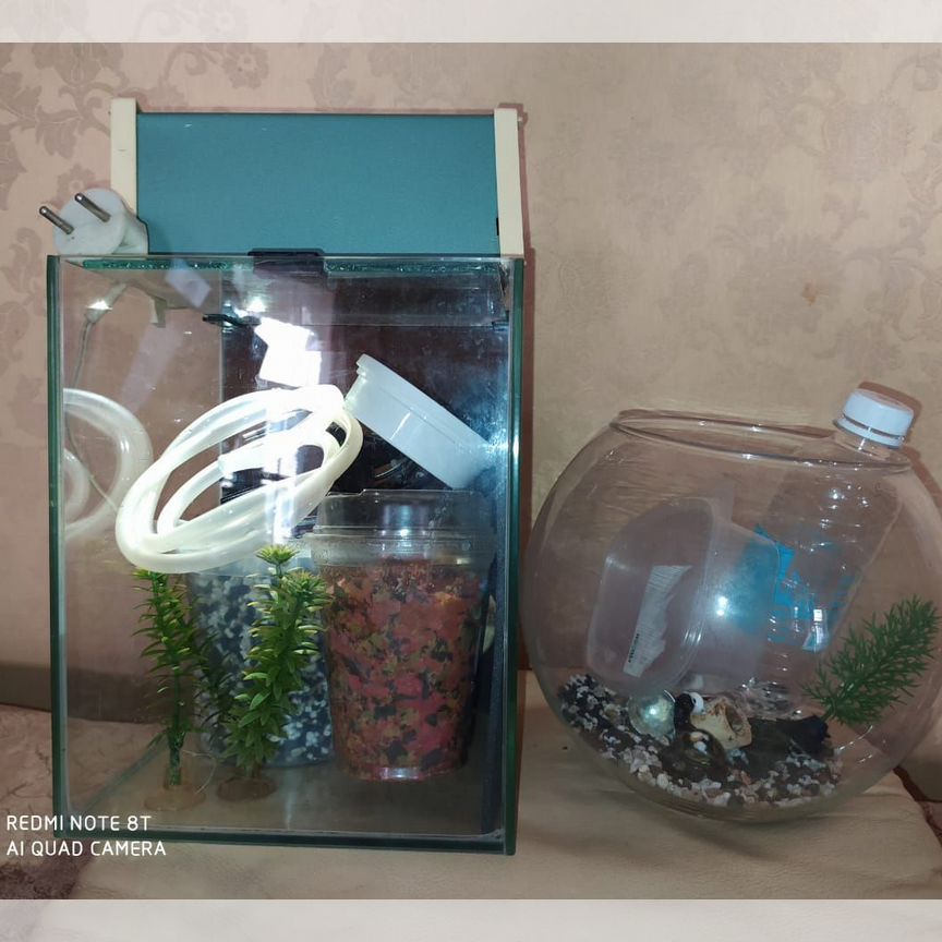 Аквариумы, комплект с рыбками