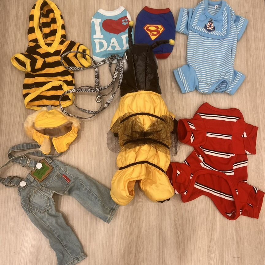 Одежда для чихуахуа