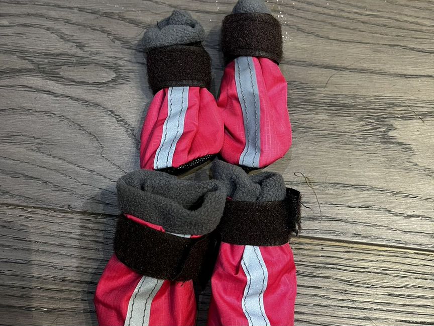 Обувь для собак мелких пород