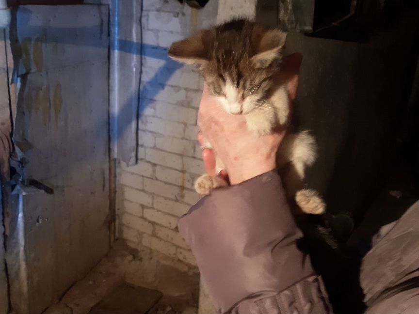 Очень нужна передержка