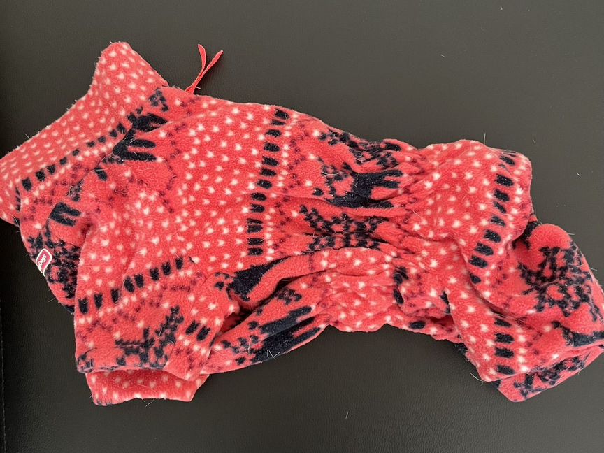 Одежда для собак мелких пород