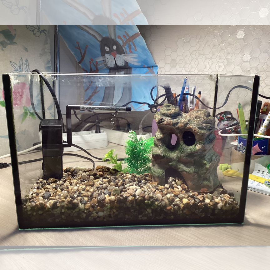 Аквариум 10 литров   мальки гуппи