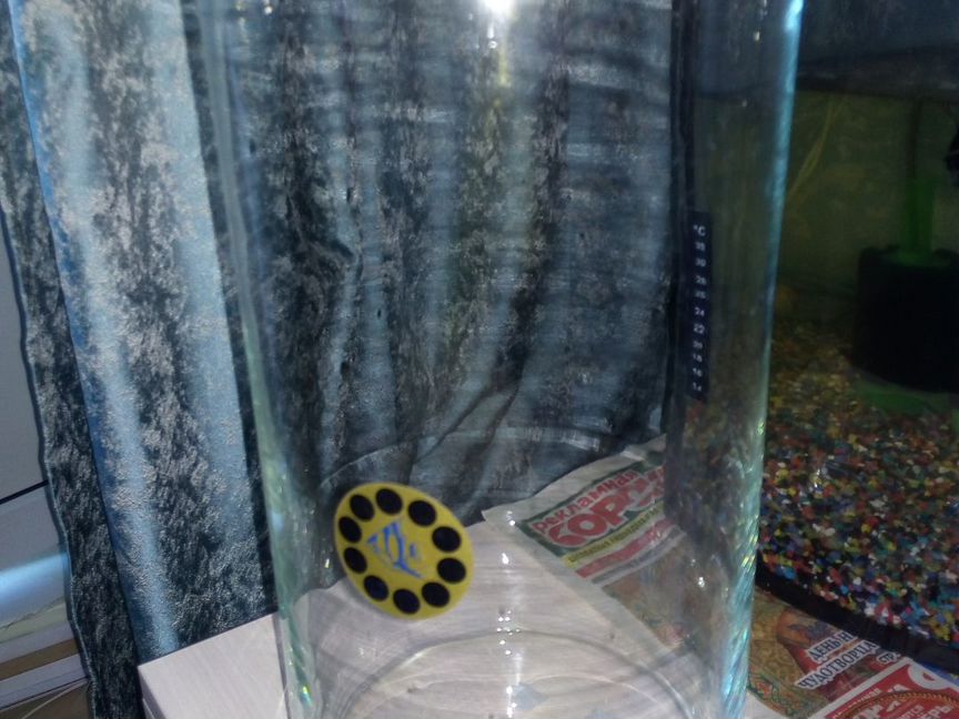 Аквариум цилиндр 10 литров