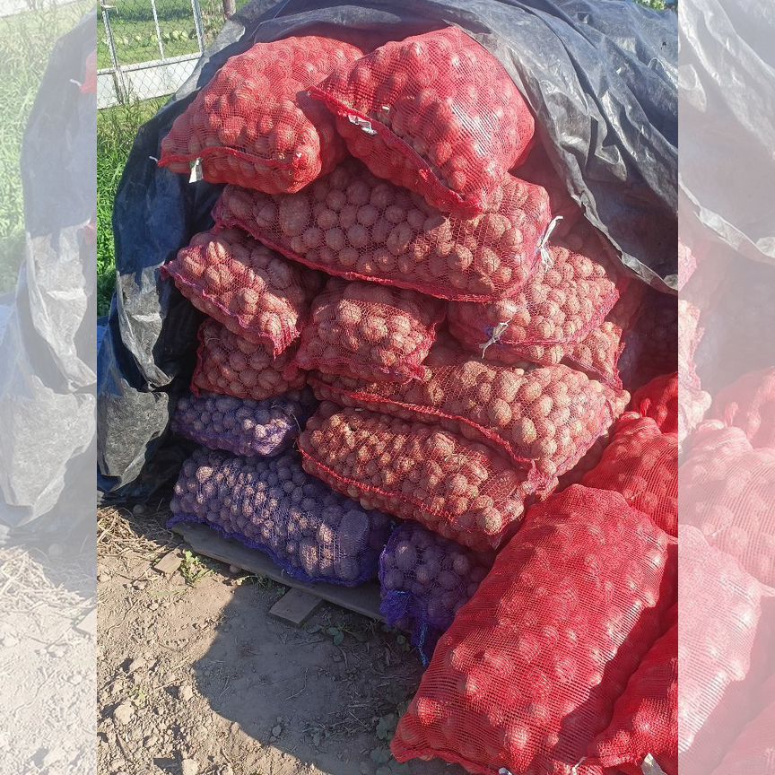 Радиосинхронизатор